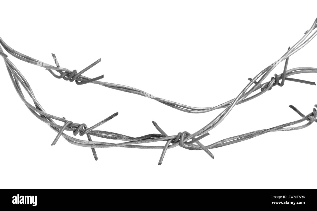 Shiny metal barbed wire isolated on white Stock Photo - Alamy
