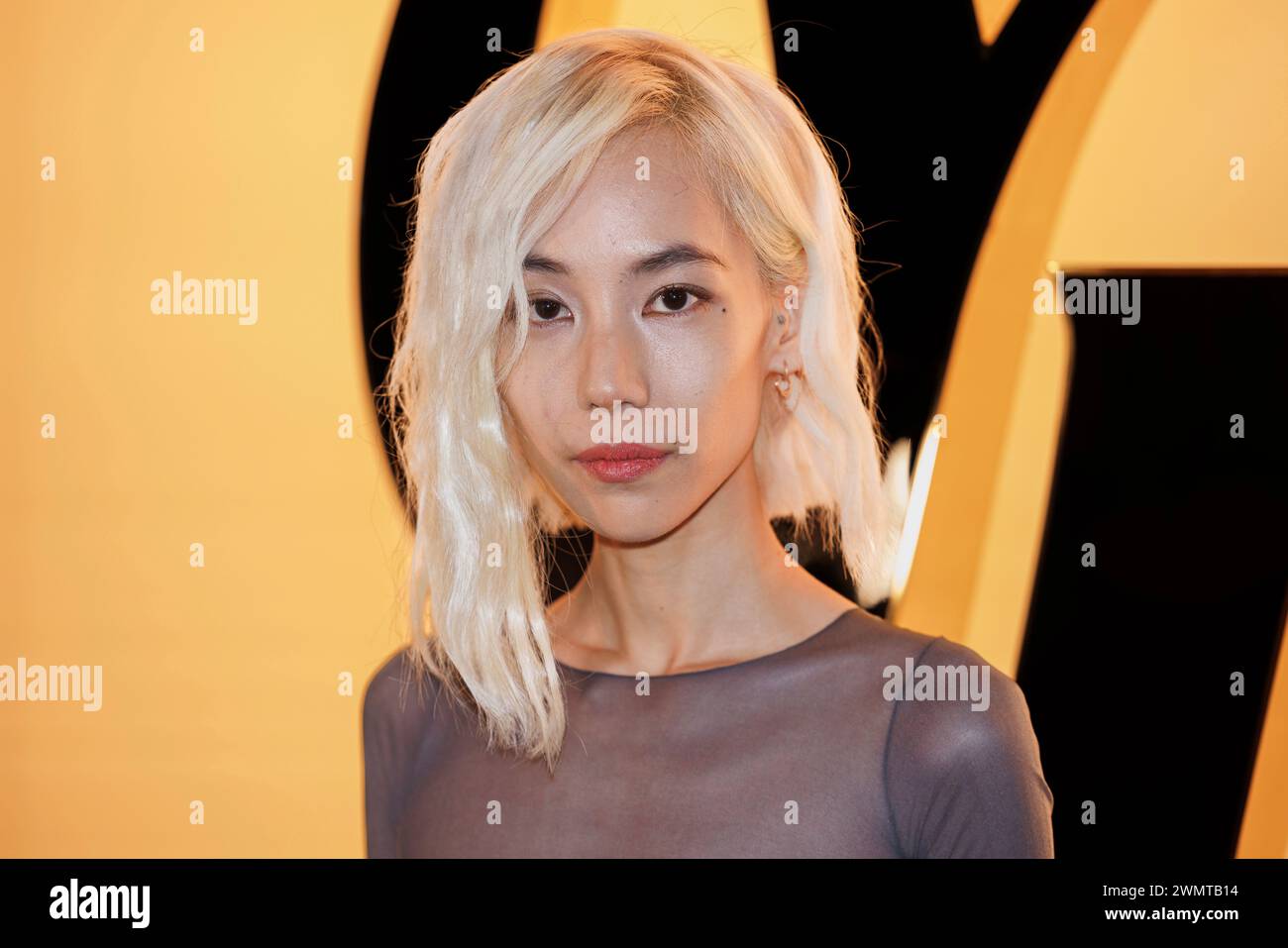 Kitty Chicha attends the Yves Saint Laurent Fall/Winter 2024-2025 ready ...
