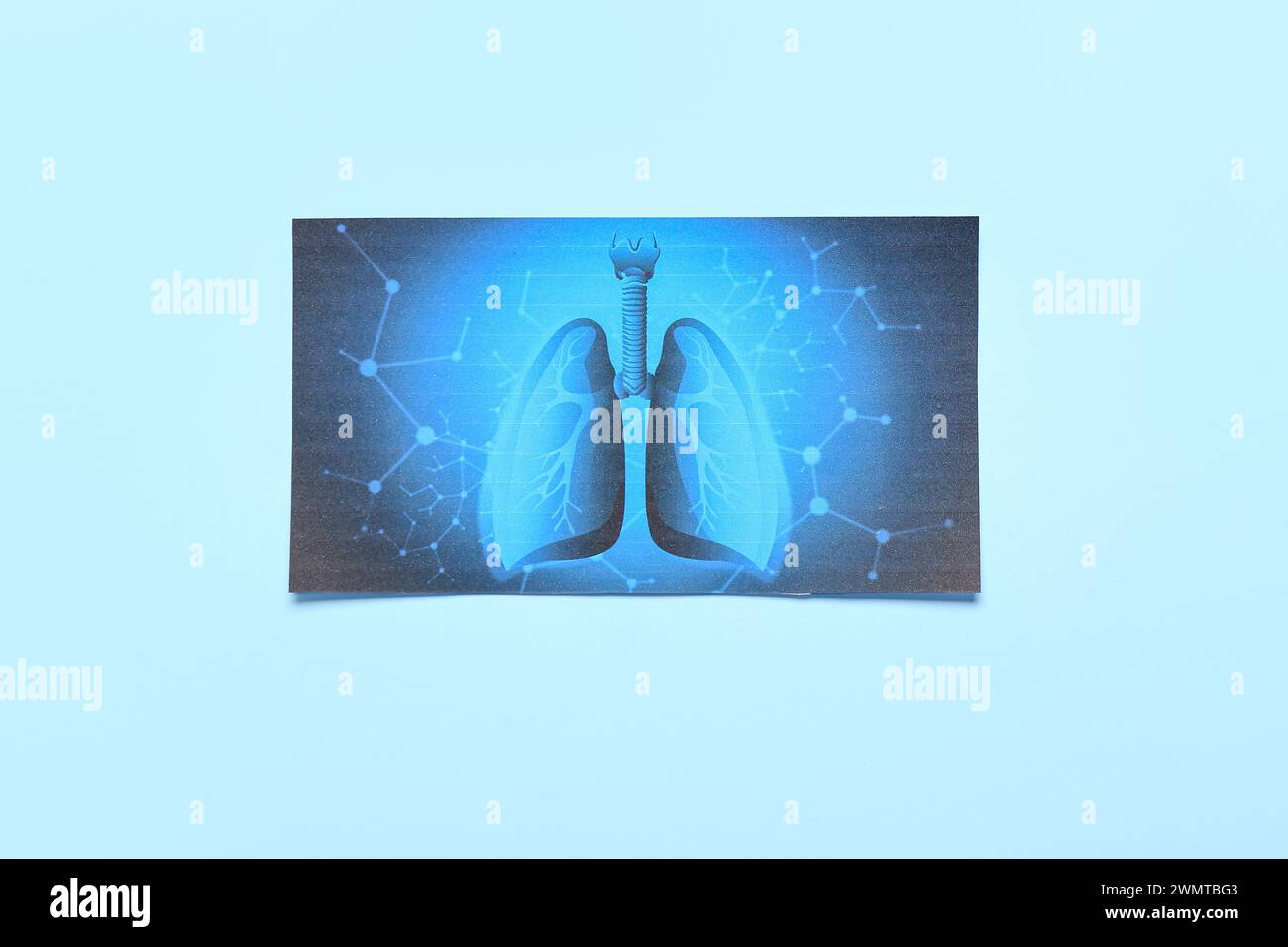 Lungs on blue background hi-res stock photography and images - Alamy