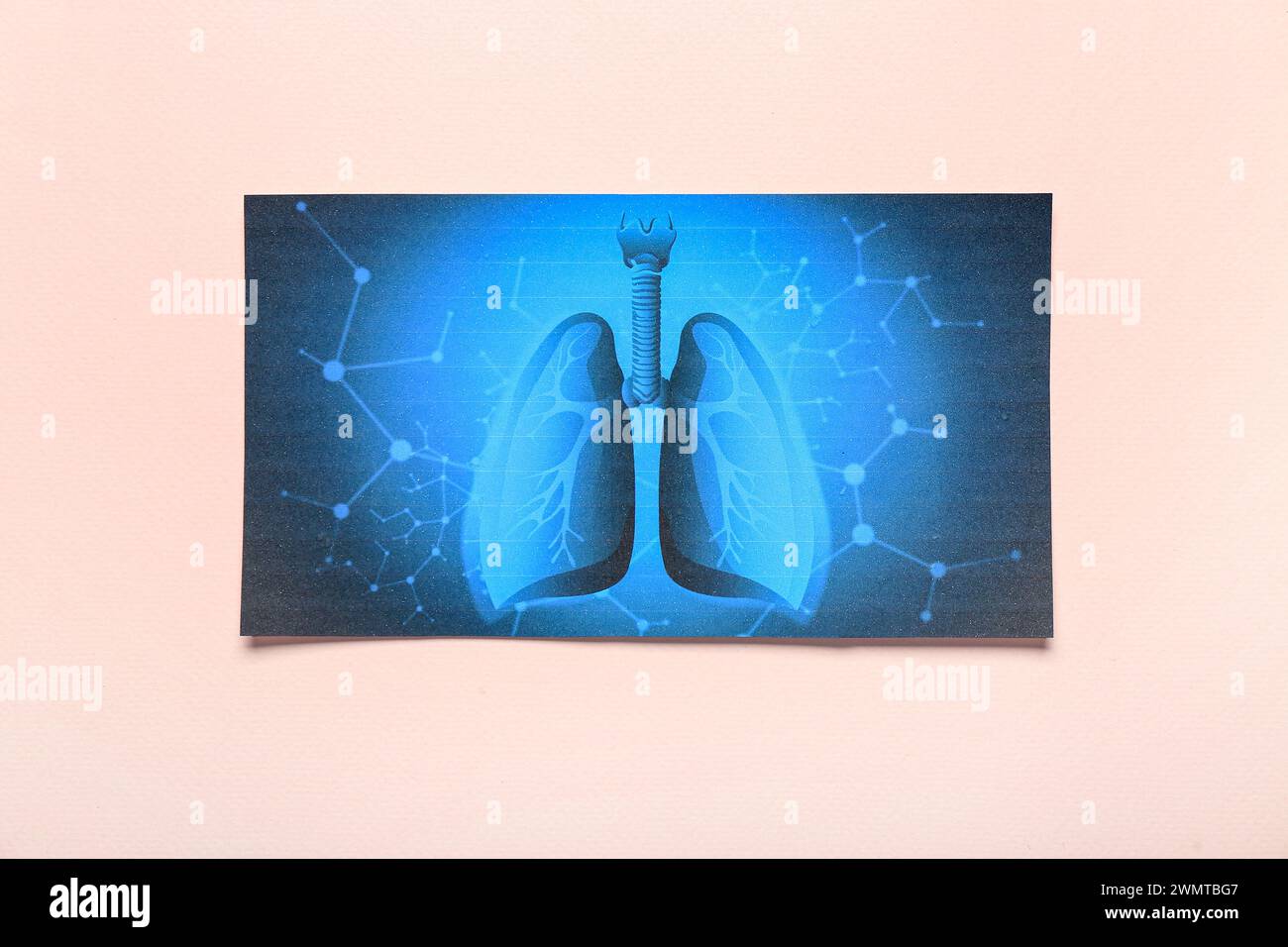 Paper lungs on beige background Stock Photo - Alamy