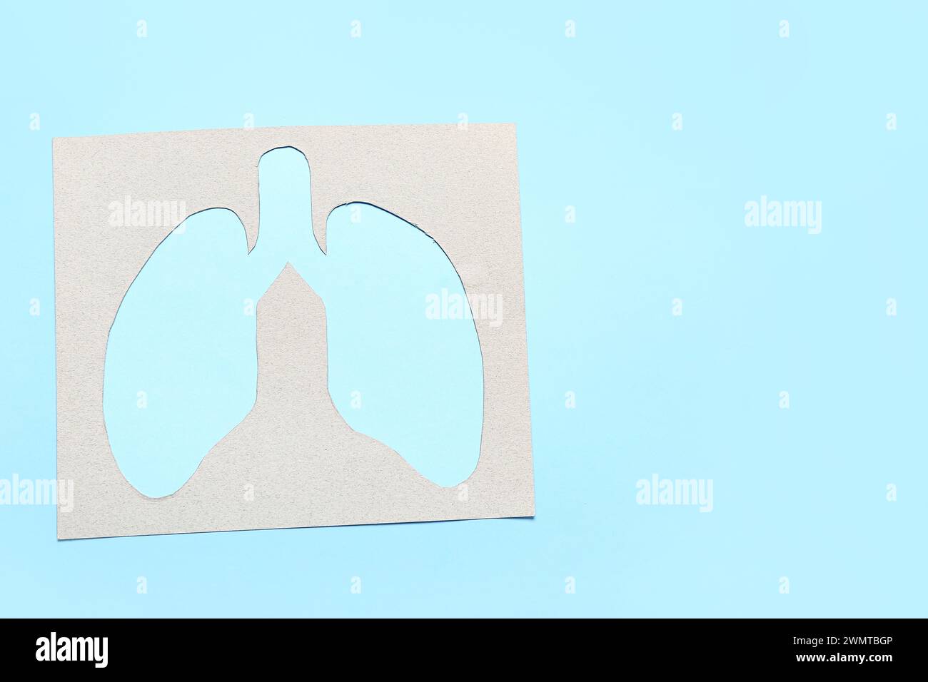 Lung cut out hi-res stock photography and images - Alamy