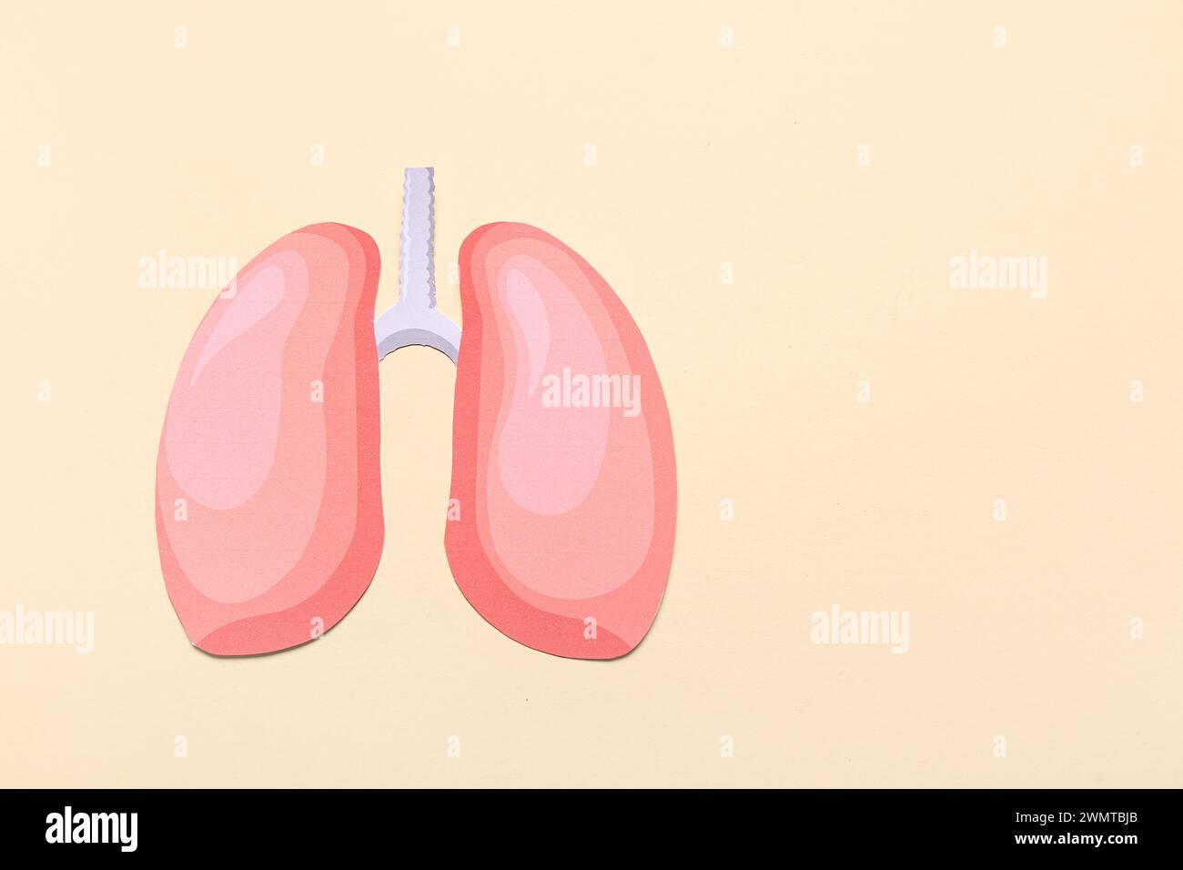 Paper lungs on beige background Stock Photo - Alamy