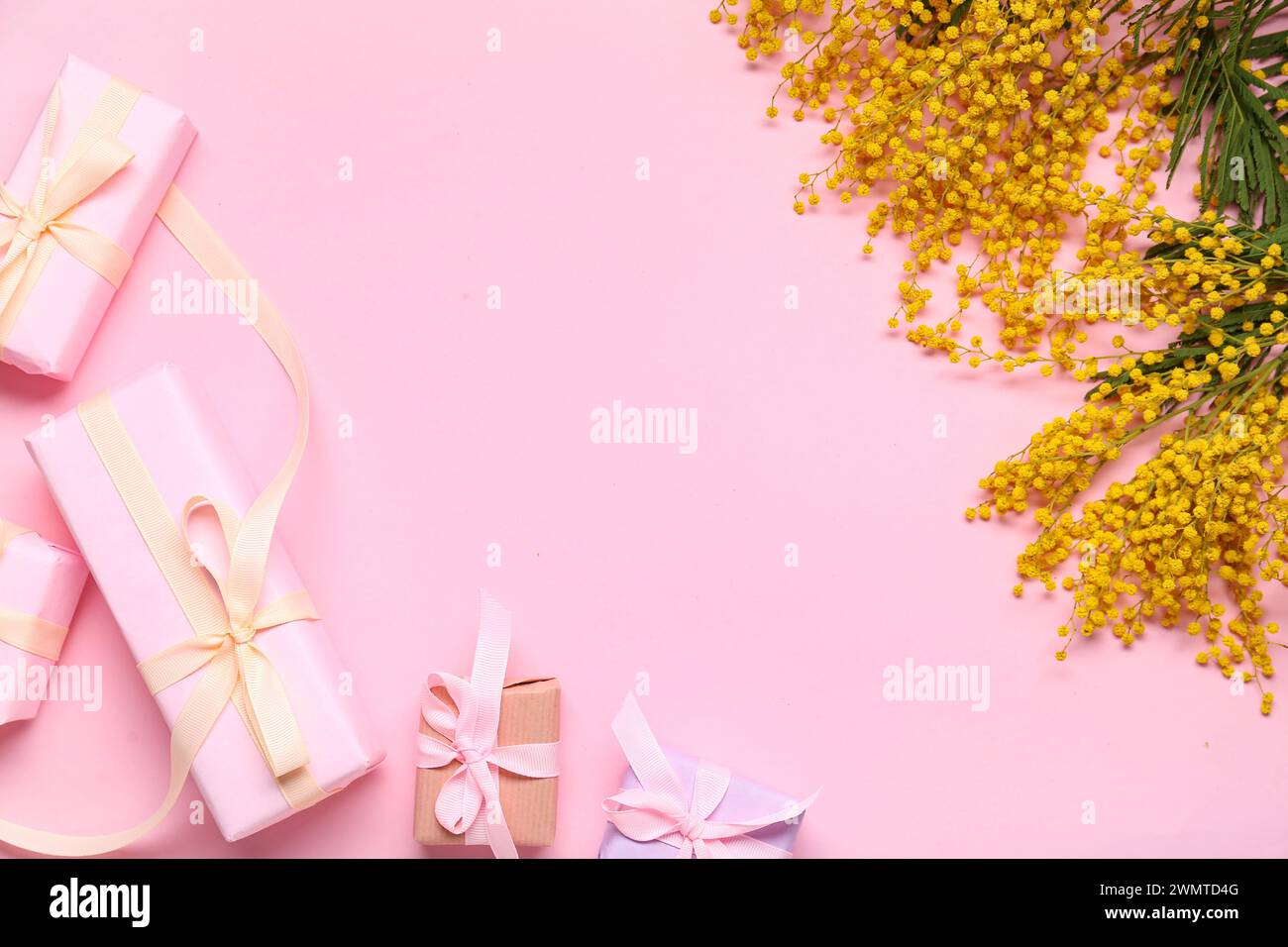 Gift boxes and mimosa on pink background Stock Photo - Alamy