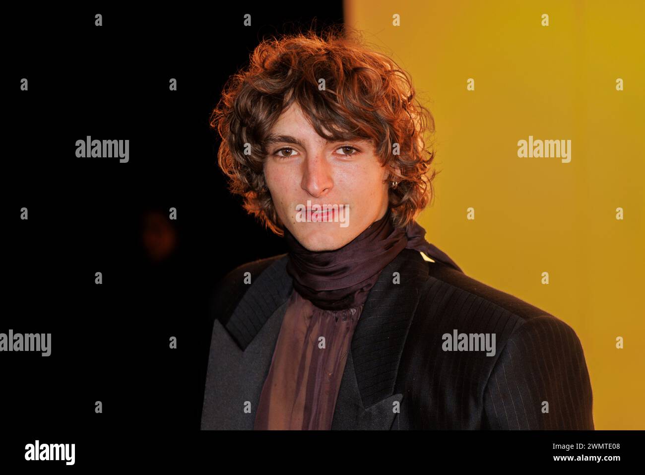 Vassili Schneider attends the Yves Saint Laurent Fall/Winter 2024-2025 ...