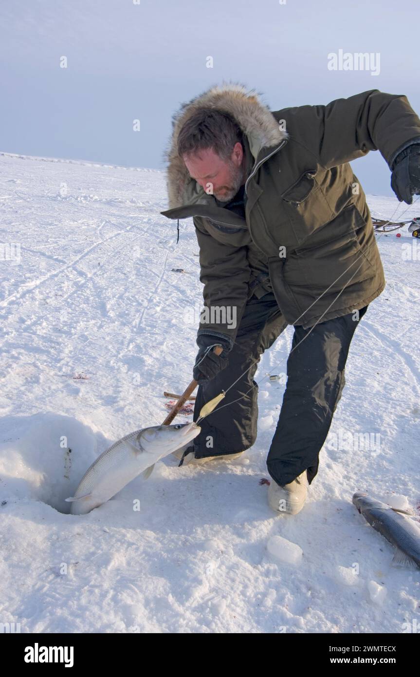 Tim Cook Alaskan guide ice fishing for sheefish on Kotzebue sound ...
