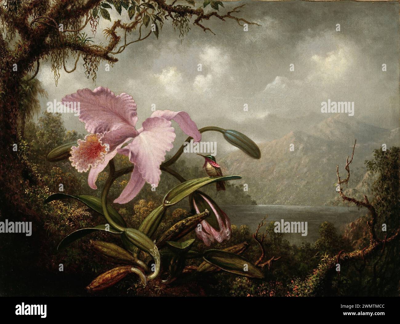 Heade Martin Johnson - Orchid and Hummingbird (1885c Stock Photo - Alamy