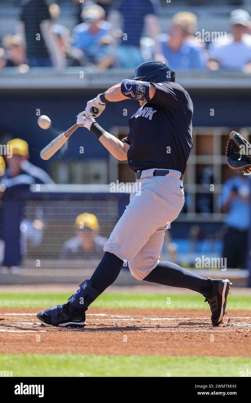 Port Charlotte, FL: New York Yankees shortstop Anthony Volpe (11) flies ...