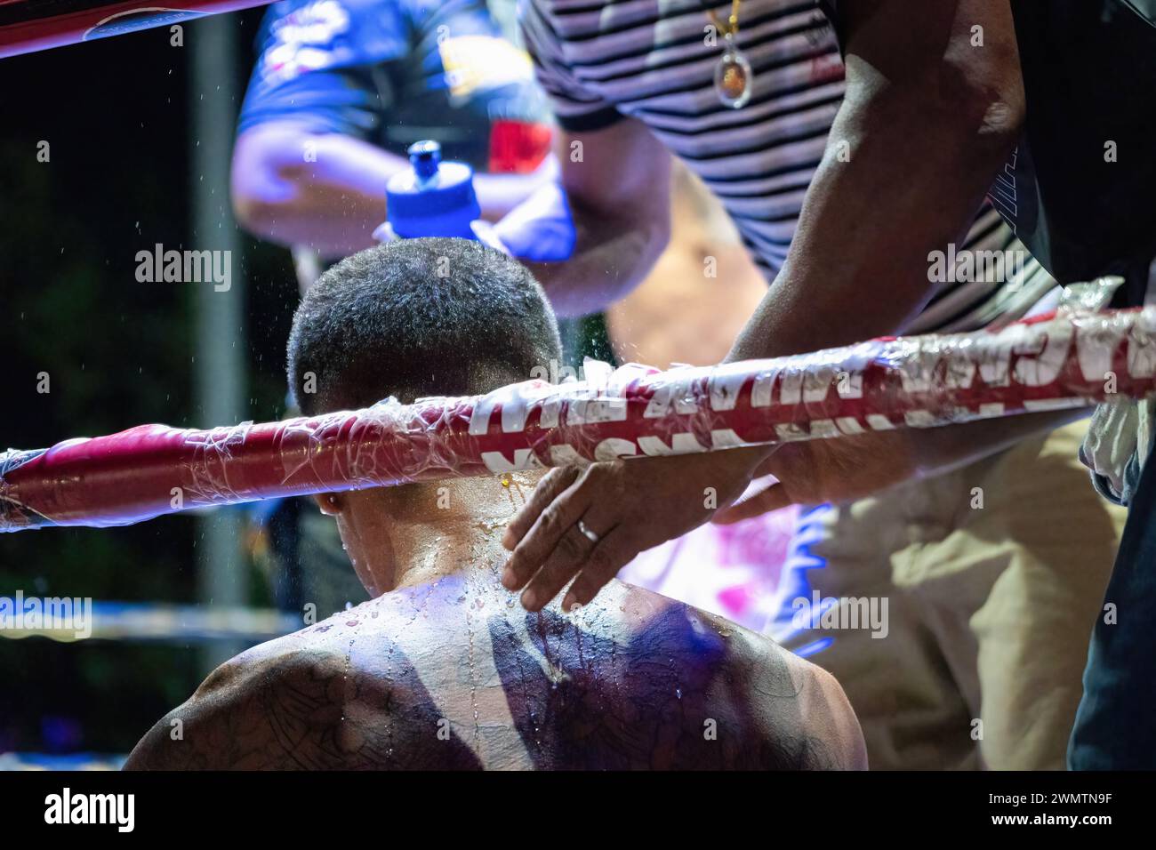 Koh Chang, Thailand. 24th Feb, 2024. The trainer places his hand behind ...