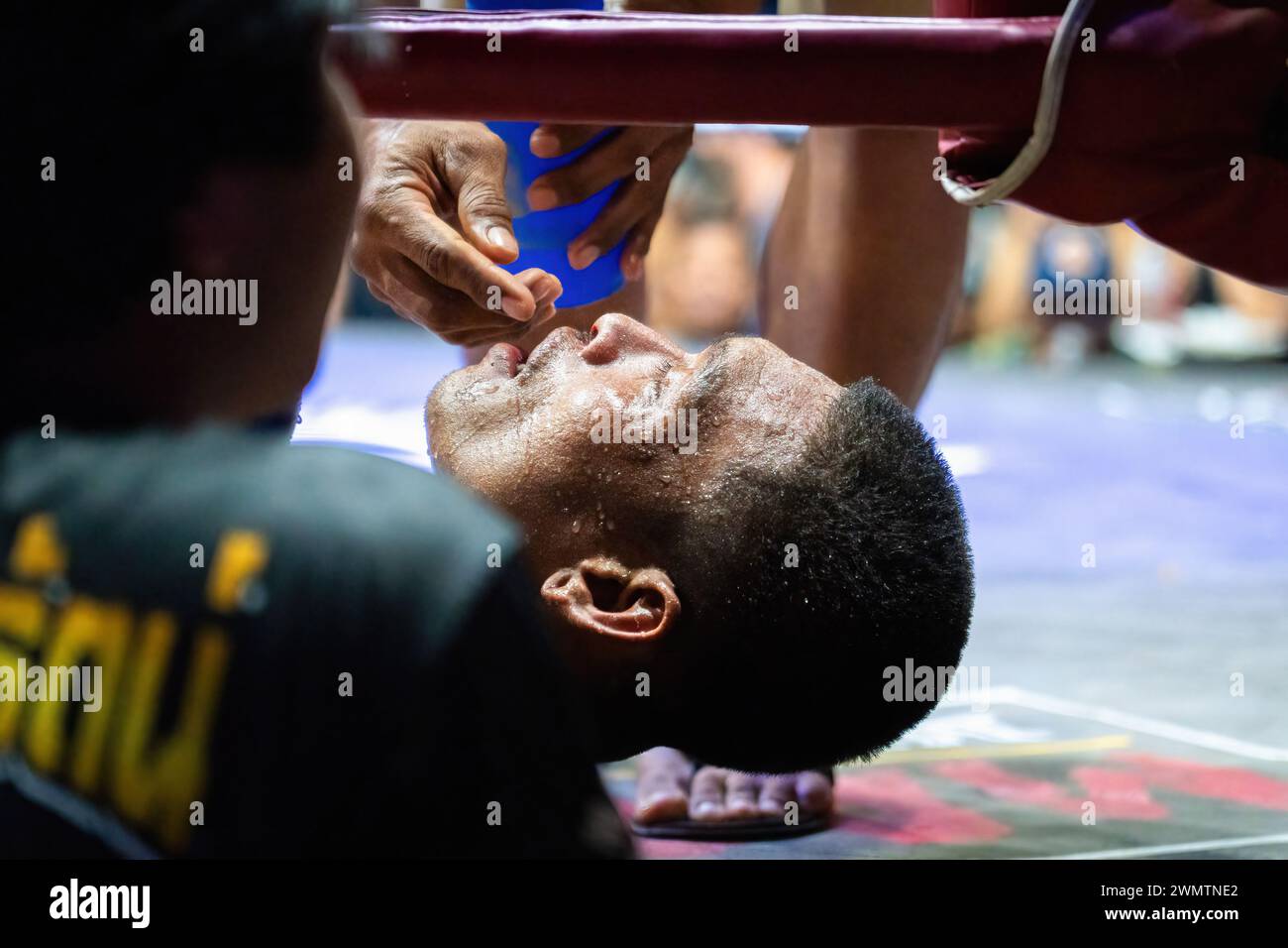 Koh Chang, Thailand. 24th Feb, 2024. A doctor is seen taking out the ...