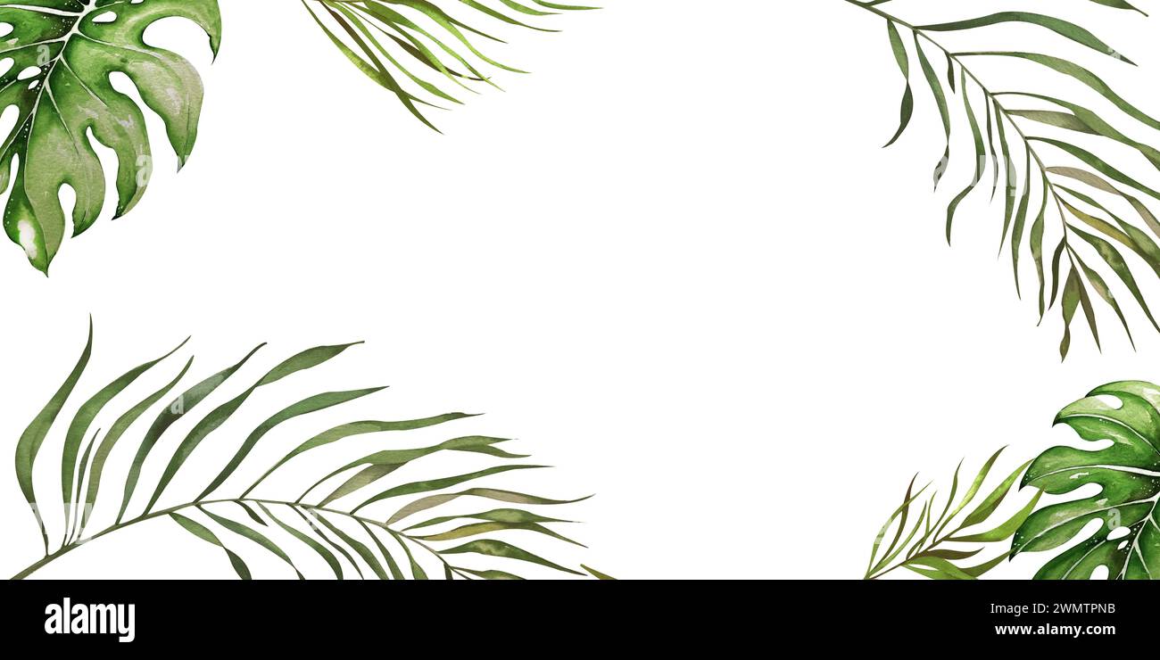 horizontal frame made of palm branches and leaves. handmade watercolor ...