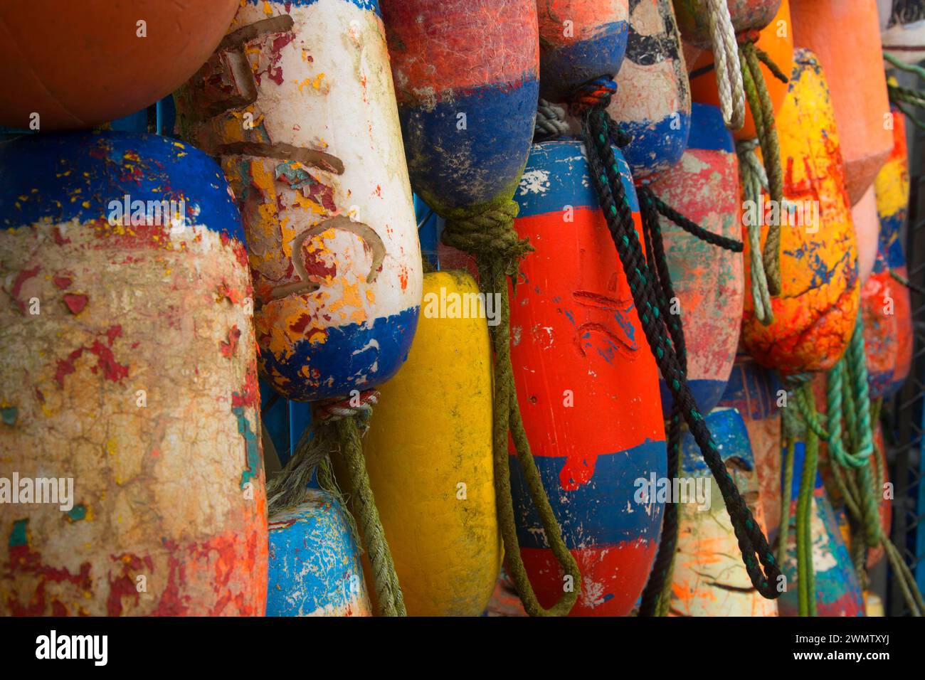 Charleston fishing hi-res stock photography and images - Alamy
