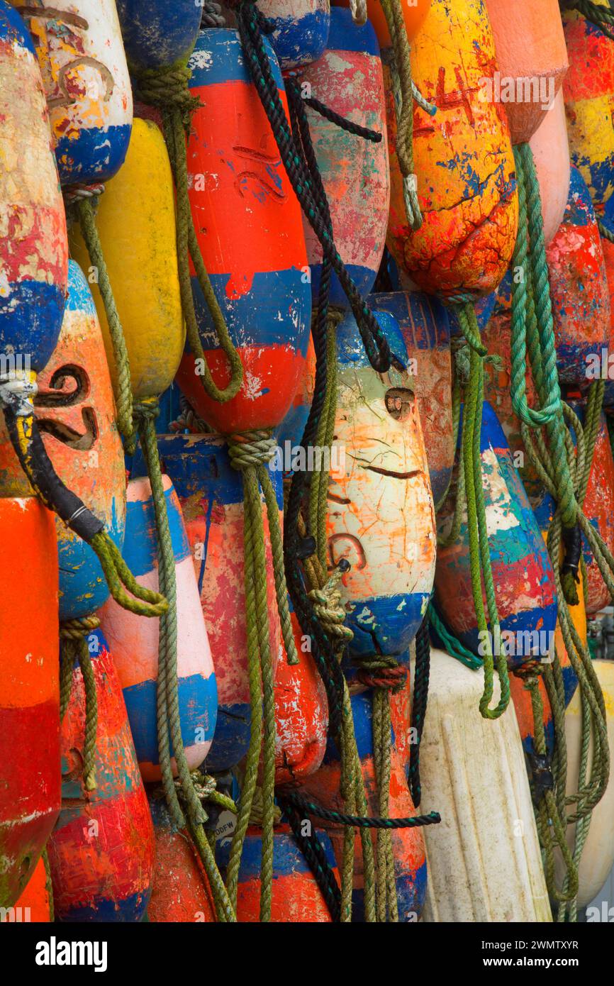Charleston fishing hi-res stock photography and images - Alamy