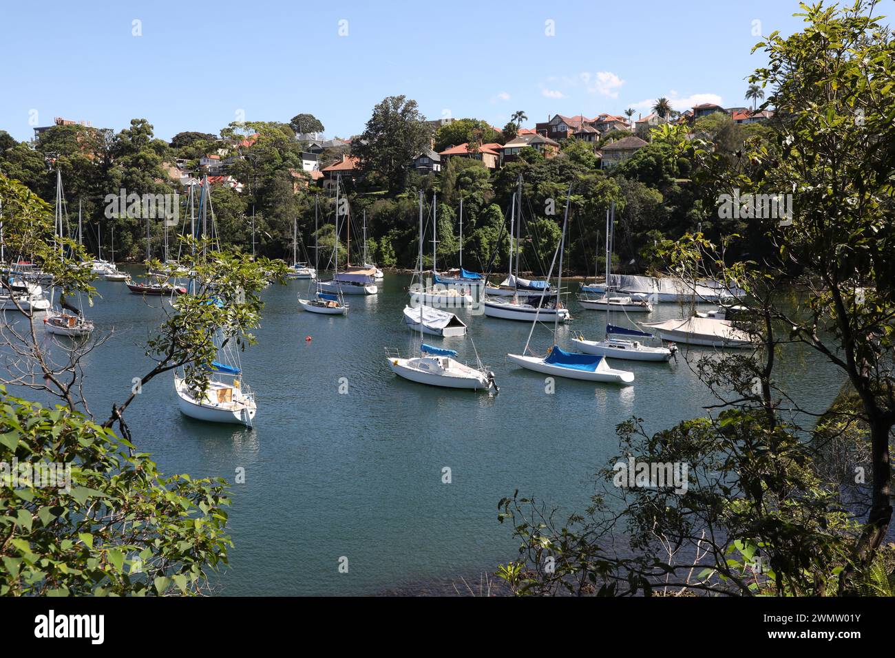 View across Mosman Bay towards Mosman from Cremorne Point on Sydney's ...