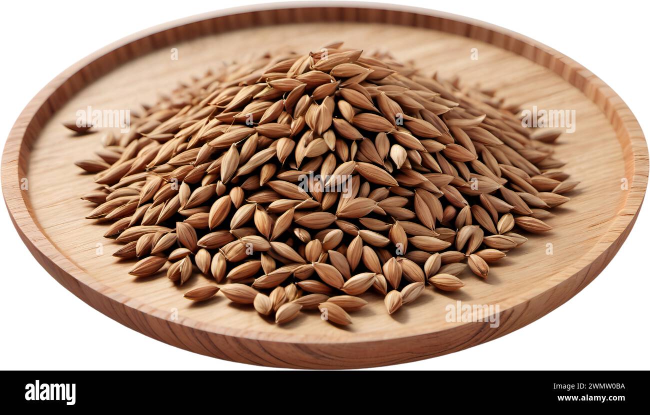 Cumin seeds on wooden plate illustration, graphic dried herb for ...