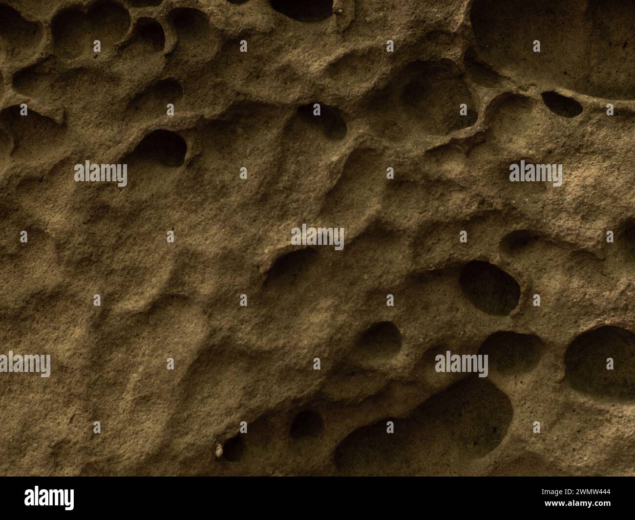 Covered with holes hi-res stock photography and images - Alamy