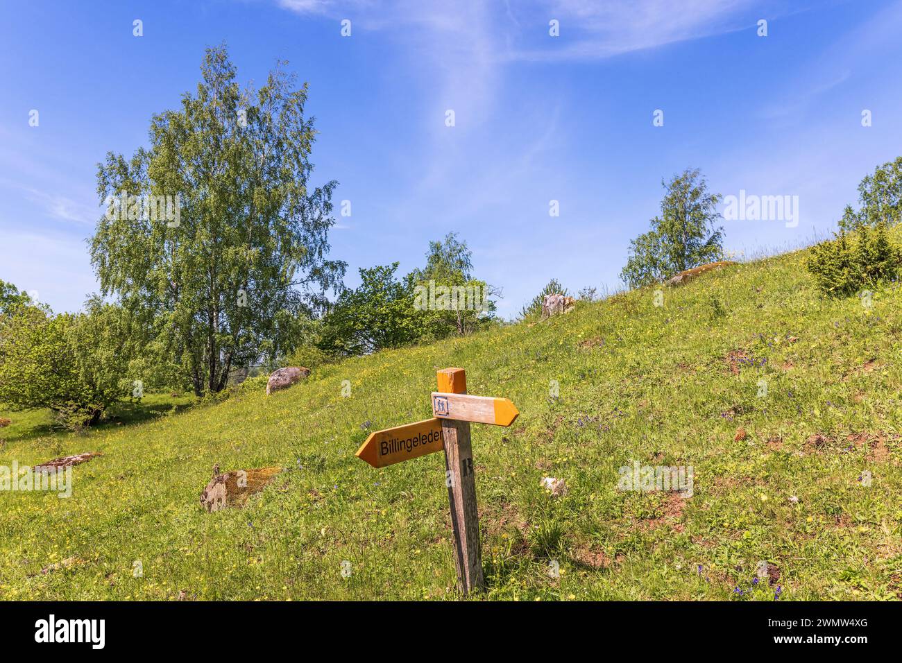Signpost on a hiking trail at a slope Stock Photo - Alamy