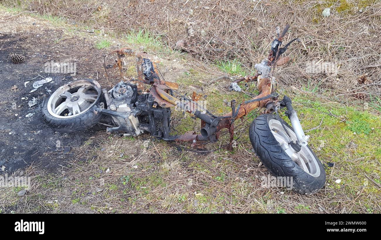 Grass fire cycle hi-res stock photography and images - Alamy
