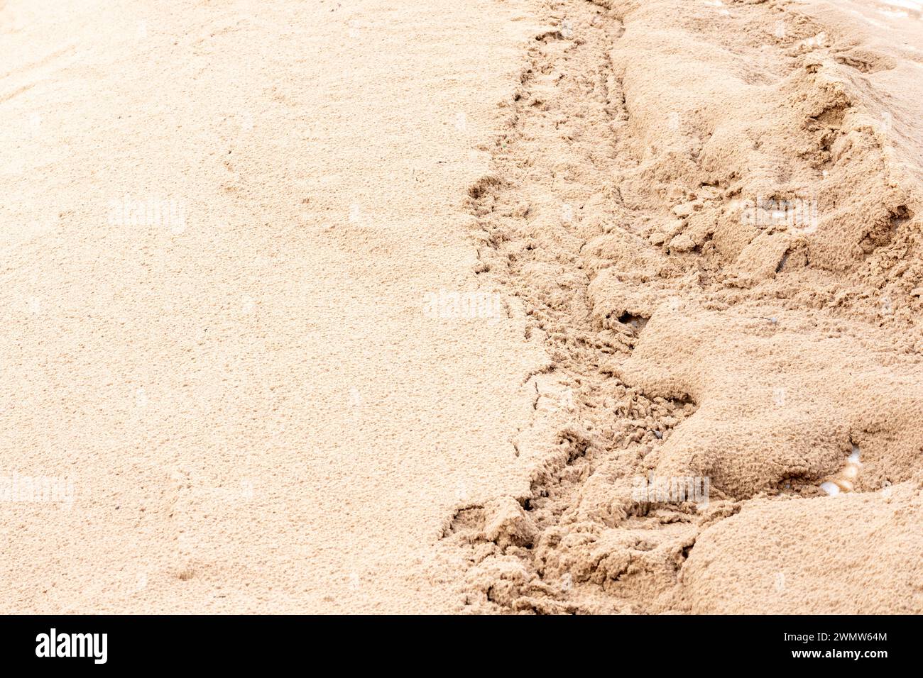 Wall paper border created hi-res stock photography and images - Alamy
