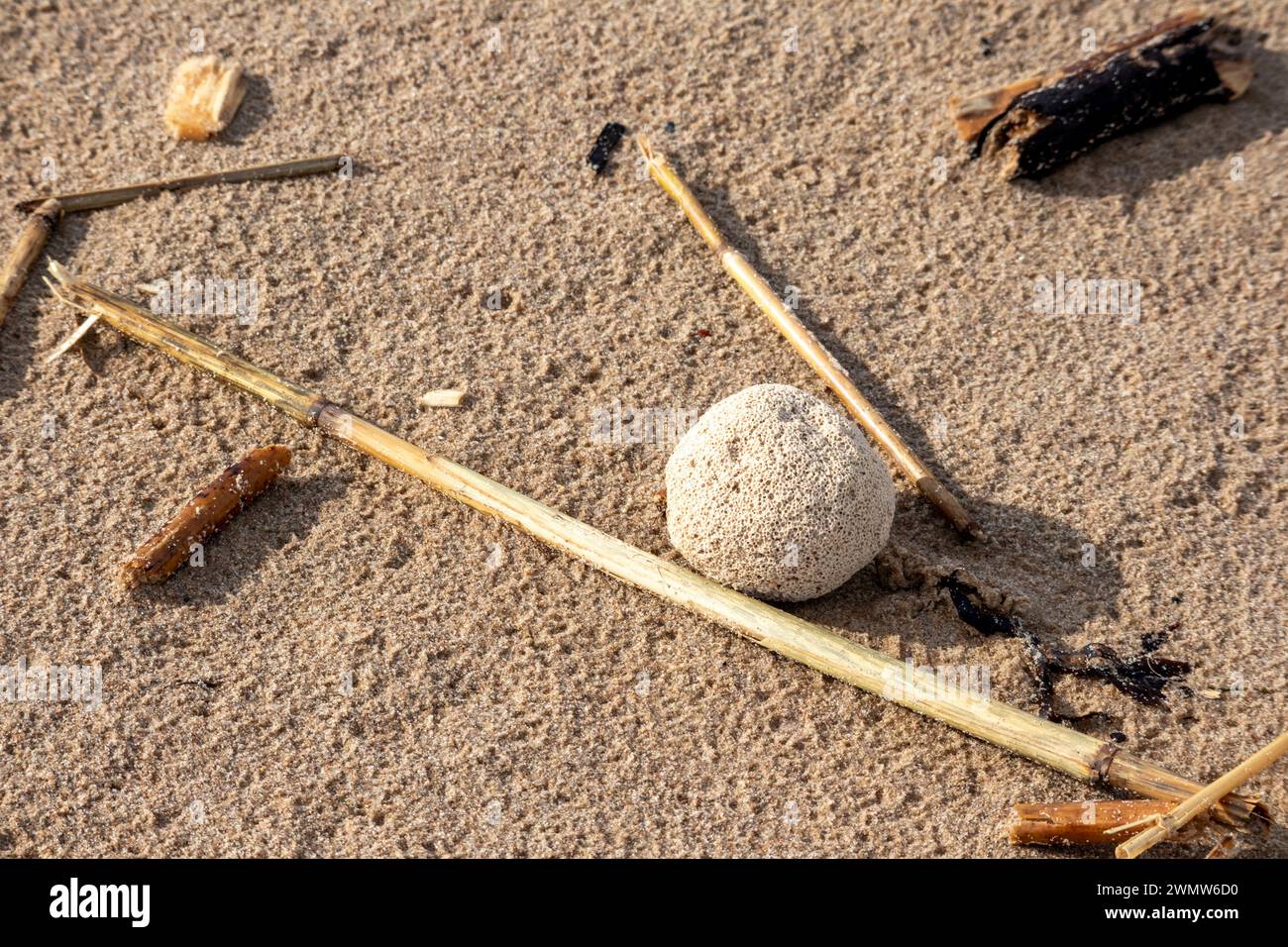 Washed up pieces of wood and a piece of white stone on brown sand Stock ...