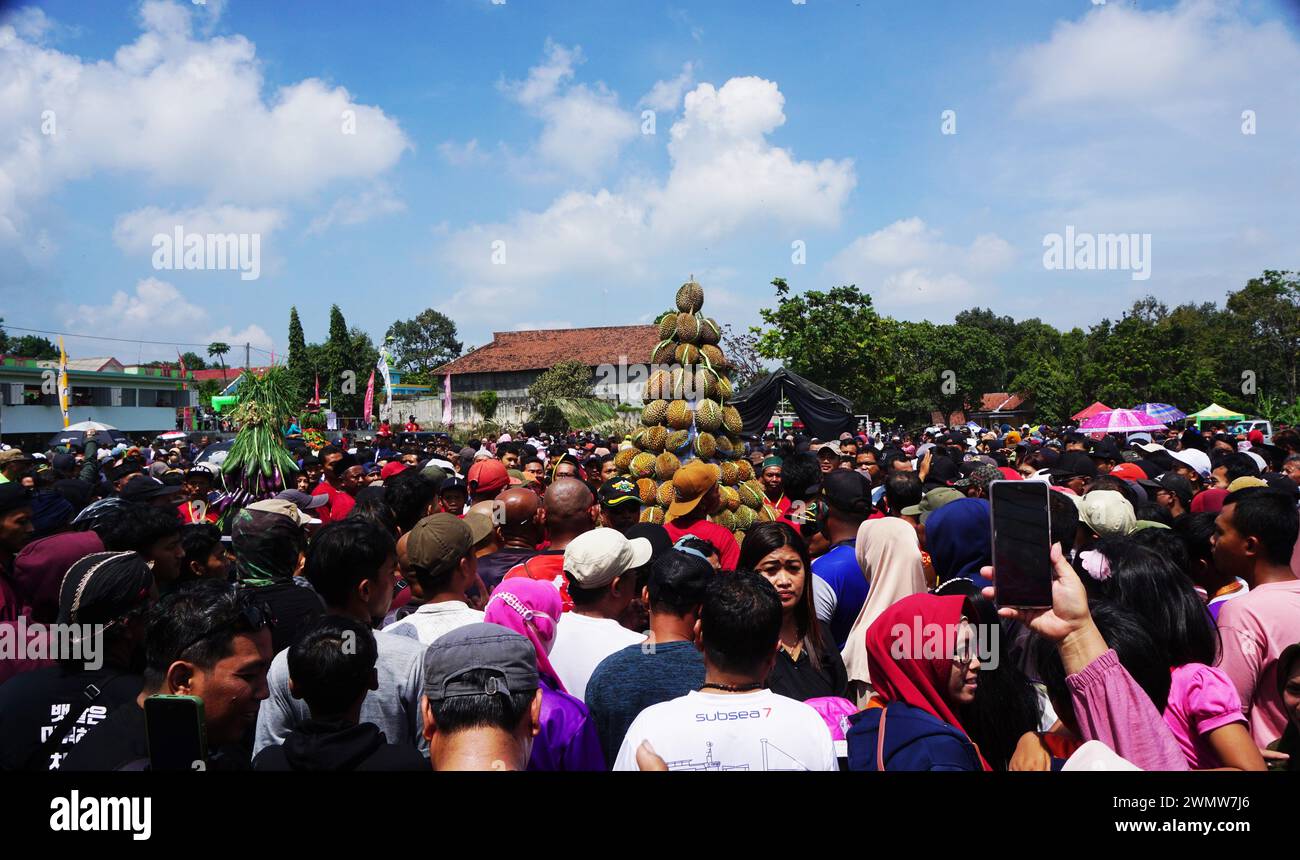 Jamboren (durian festival) in Kediri. Duren is called as king of fruit ...