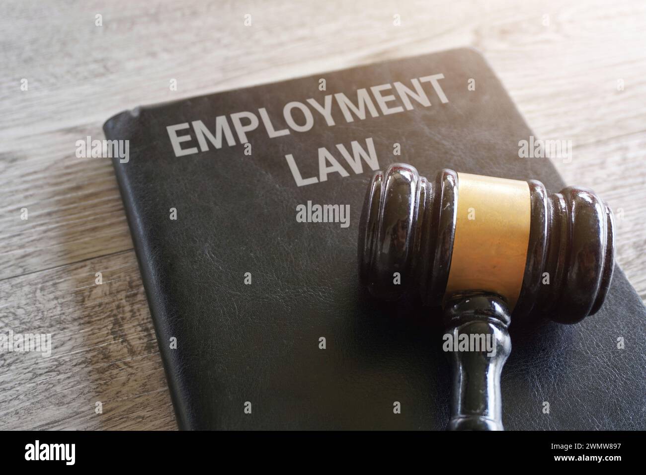 Employment and regulation hi-res stock photography and images - Alamy