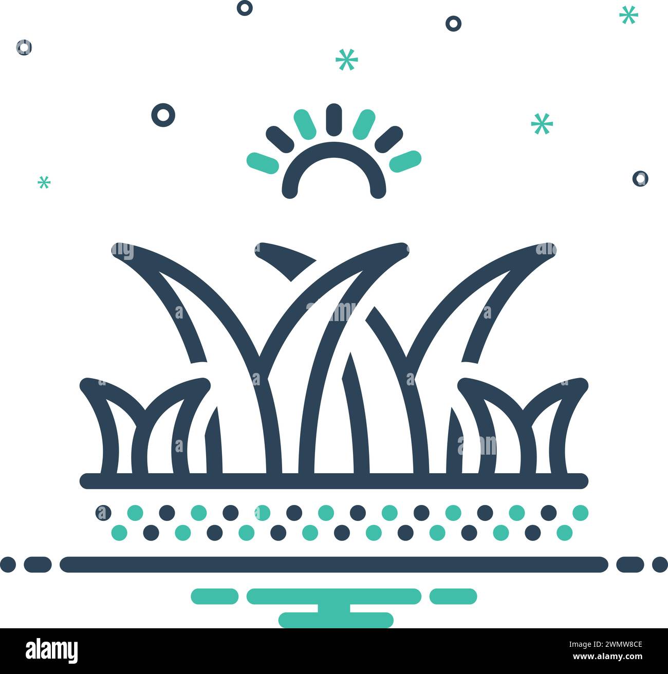 Grass grama Stock Vector Images - Alamy