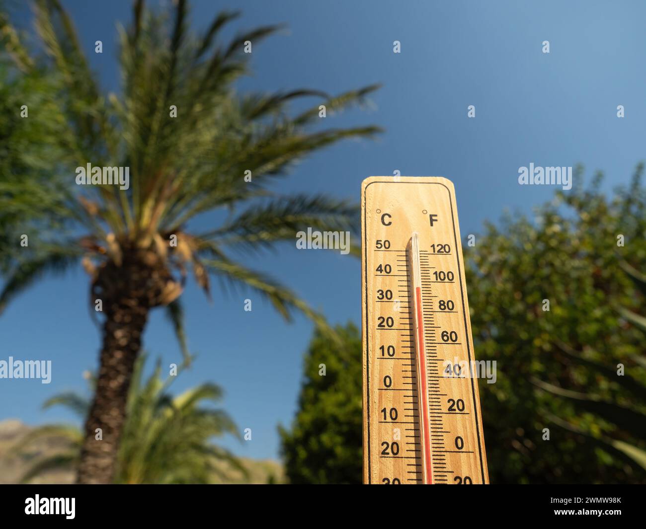 Wooden thermometer with red measuring liquid showing high temperatures ...