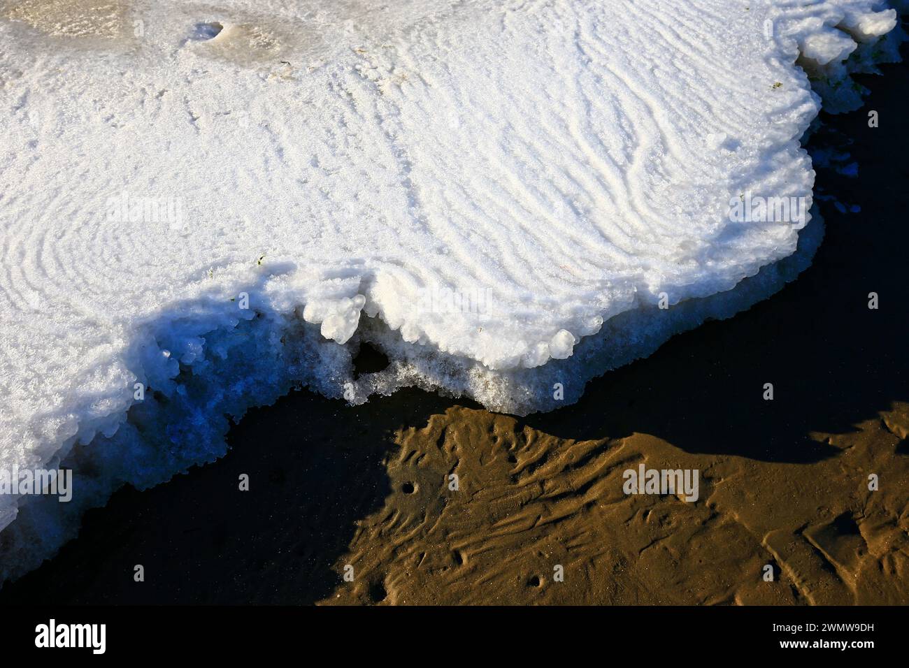 The winter sea ice Stock Photo - Alamy