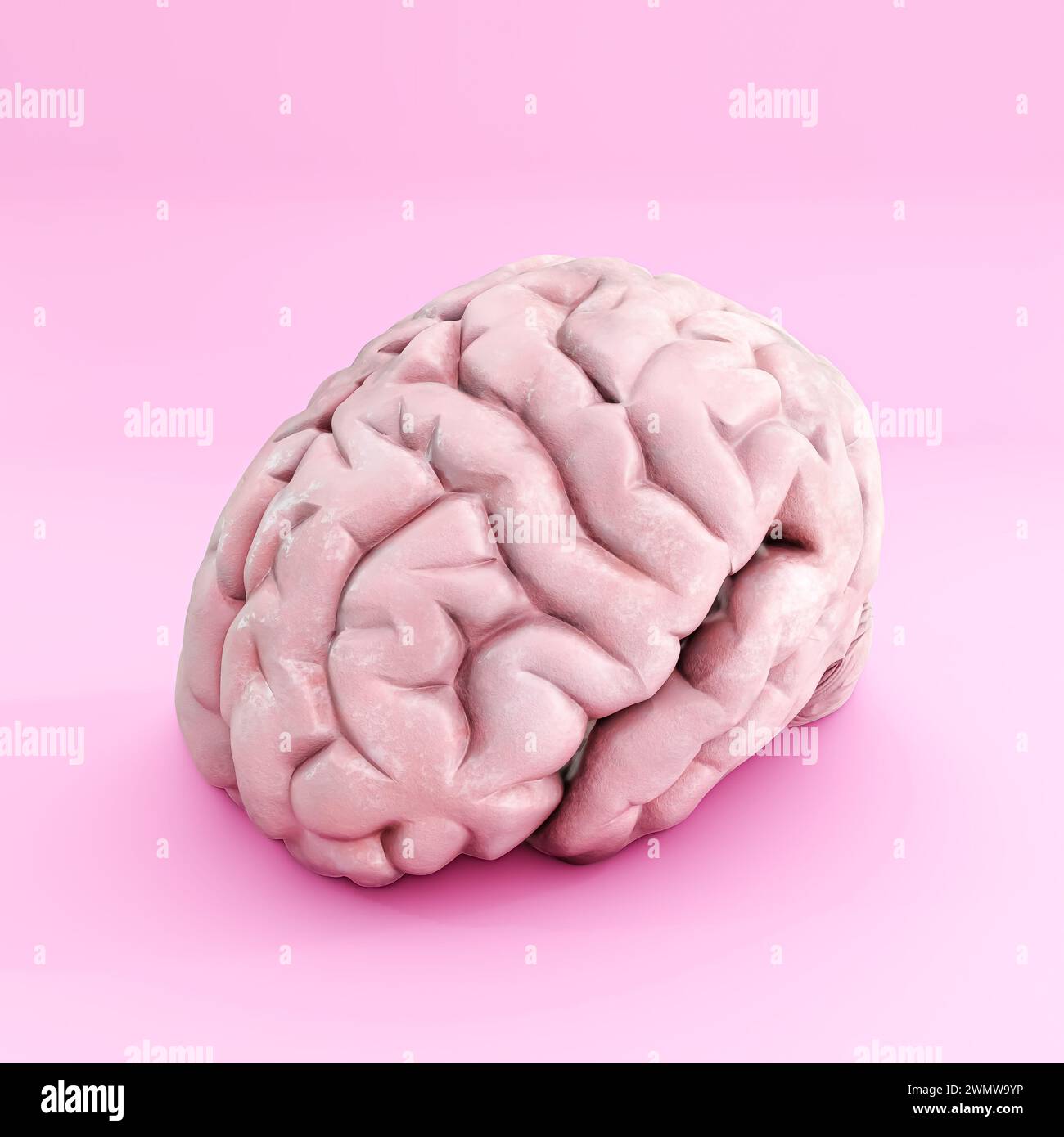 brain isolated on pink background 3d illustration Stock Photo - Alamy