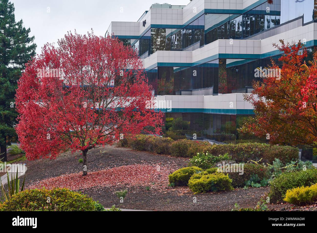 Fountaingrove center hi-res stock photography and images - Alamy