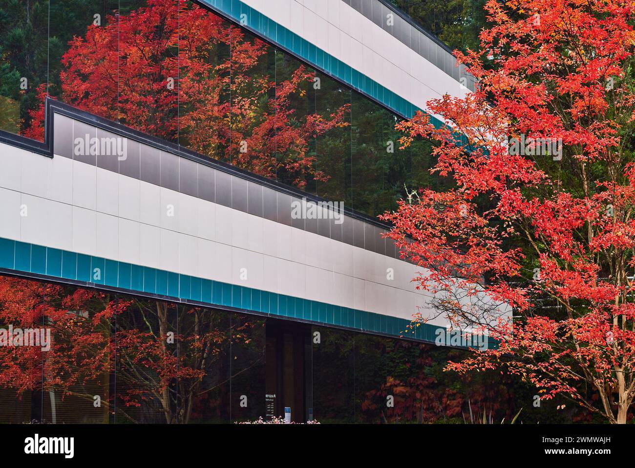 Fountaingrove center hi-res stock photography and images - Alamy