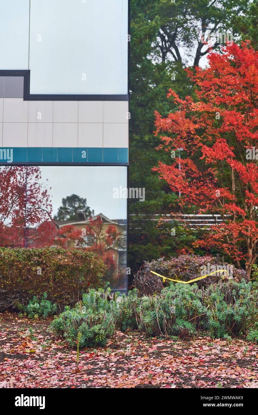 Fountaingrove center hi-res stock photography and images - Alamy