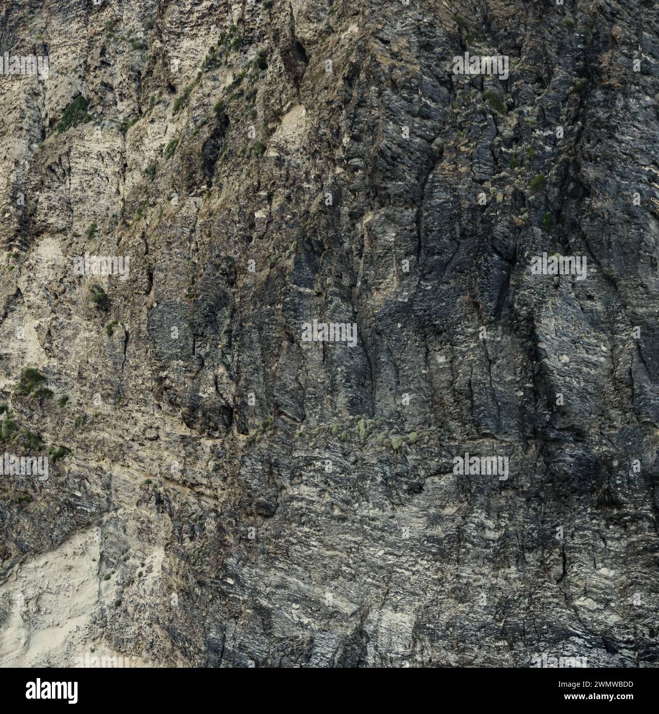 Weathered seaside rock face texture. Aged volcanic stone wall surface ...