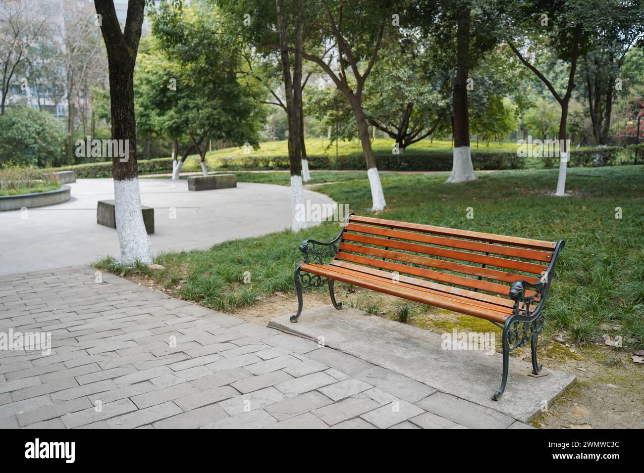 A park bench, standing silently in an environment surrounded by lush ...