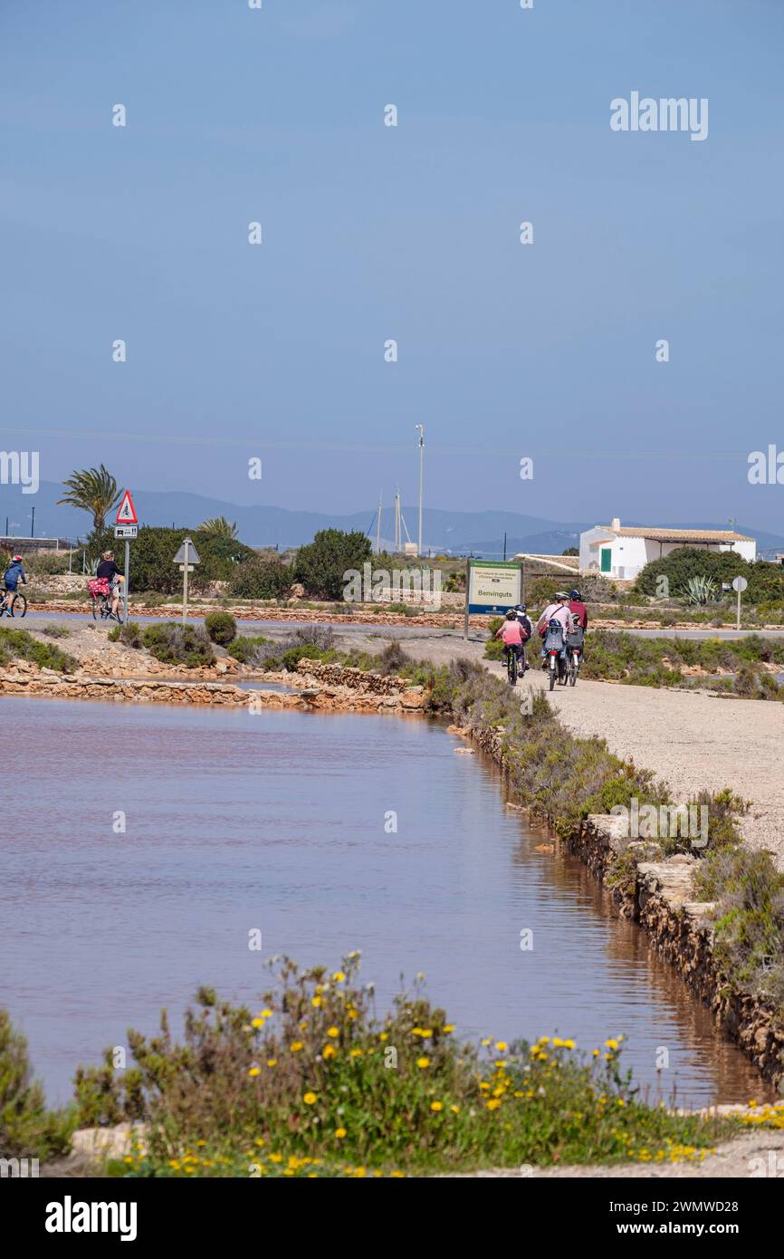 family bike ride, La Savina, Formentera, Pitiusas Islands, Balearic ...