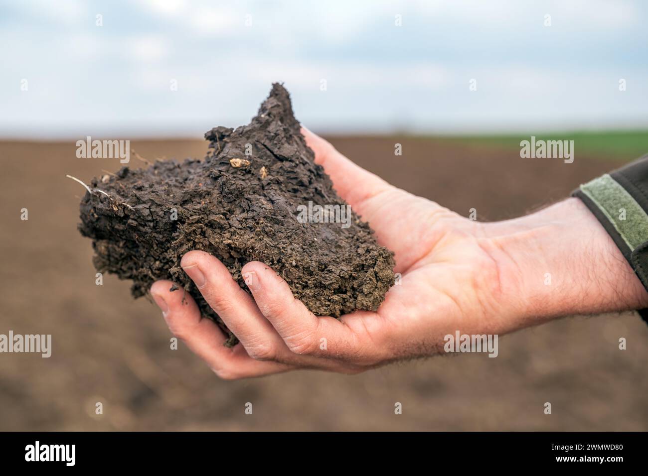 Soil sample hi-res stock photography and images - Alamy