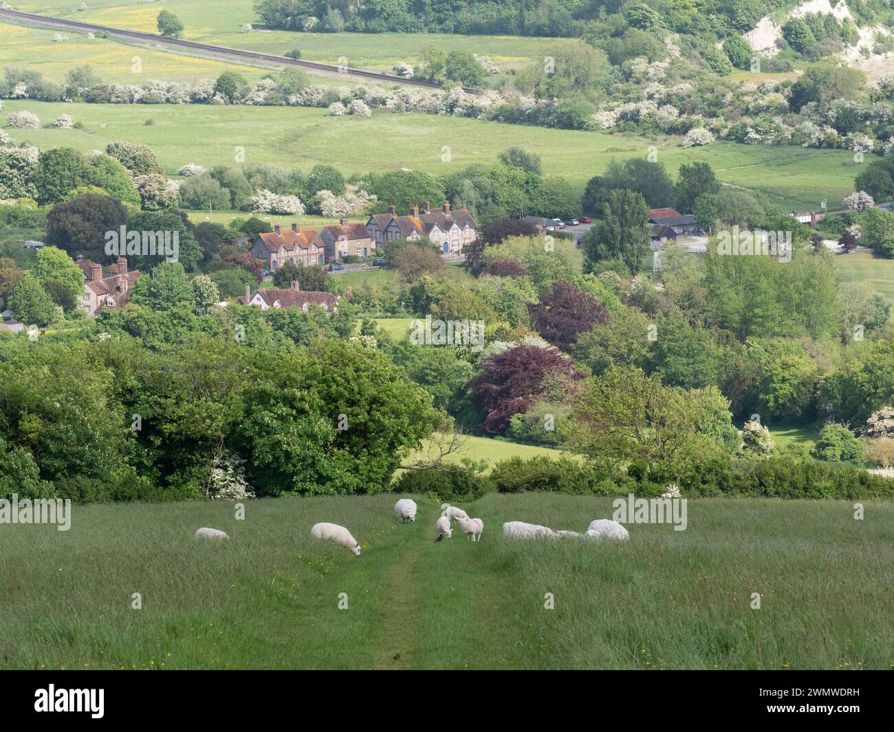 View towards Ranscombe from Lewes Downs by Mount Caburn, East Sussex ...