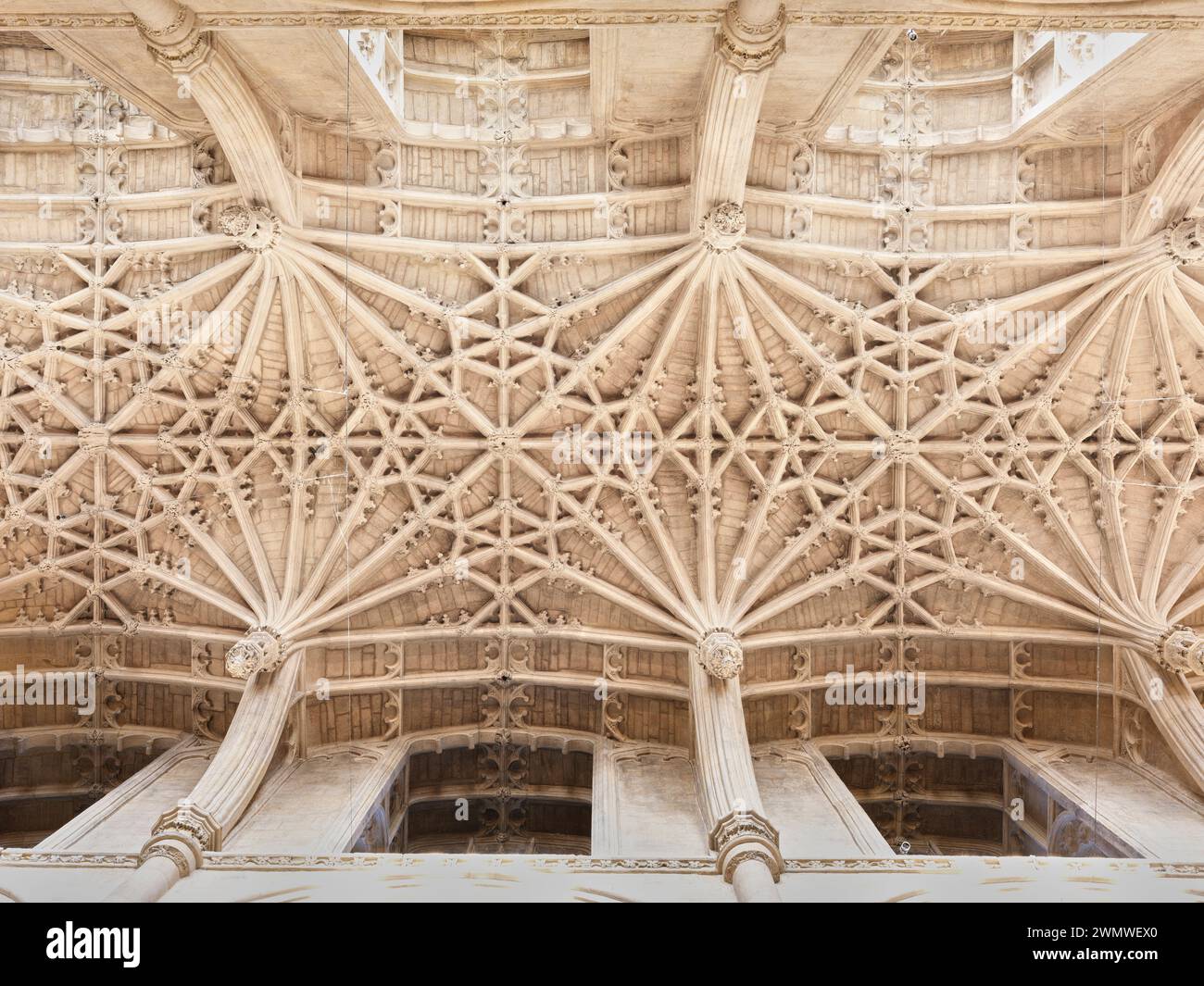 Vaulted ceiling over the chancel at Christ Church college cathedral ...