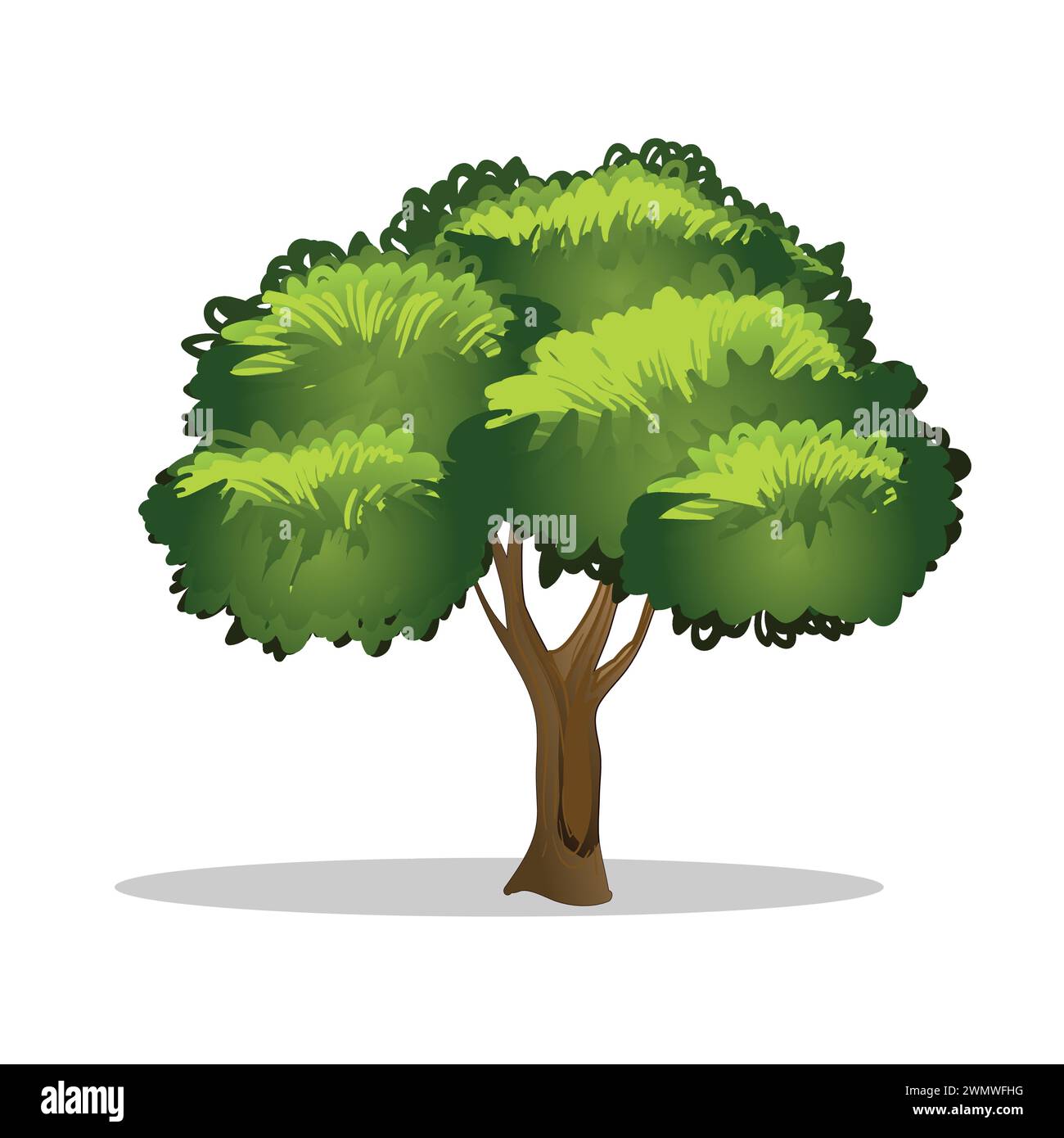 Palm tree coconut realistic Stock Vector Images - Alamy