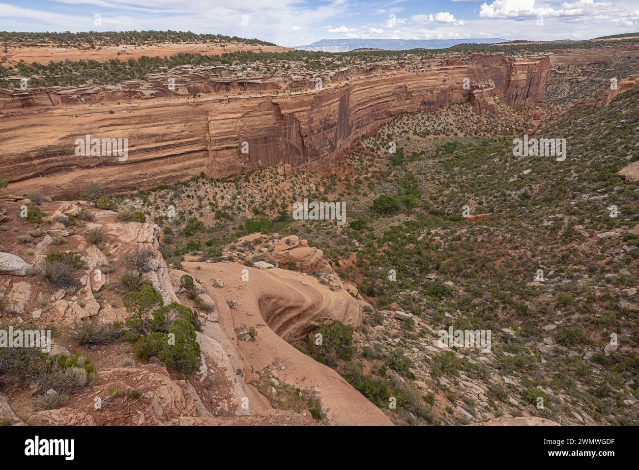 Ute Canyon with Fallen Rock, seen from the Fallen Rock Overlook in the ...
