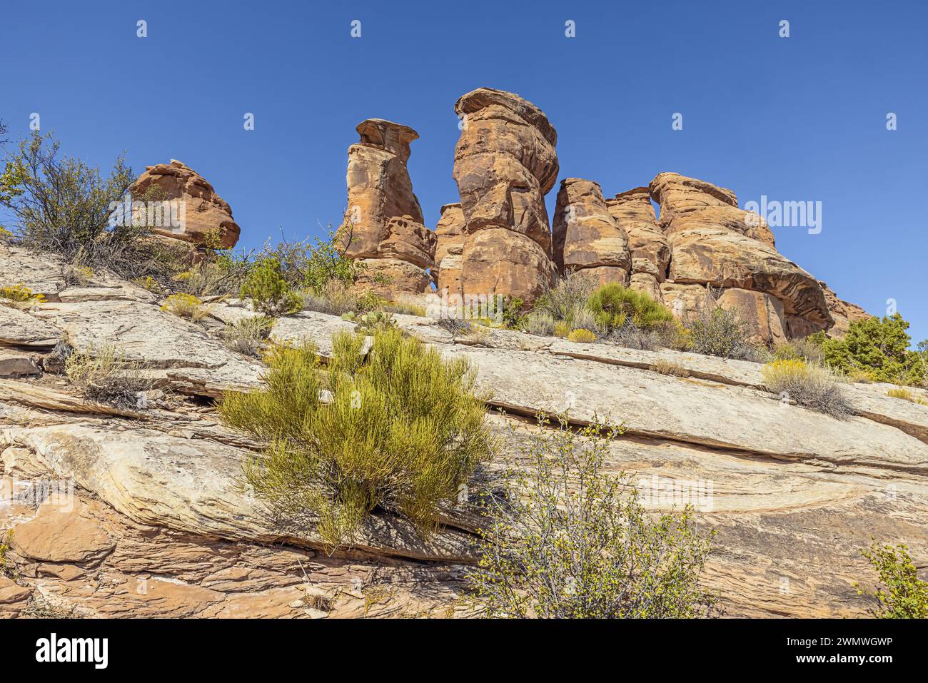 Strangely formed rock formations at the Devil's Kitchen in the Colorado ...