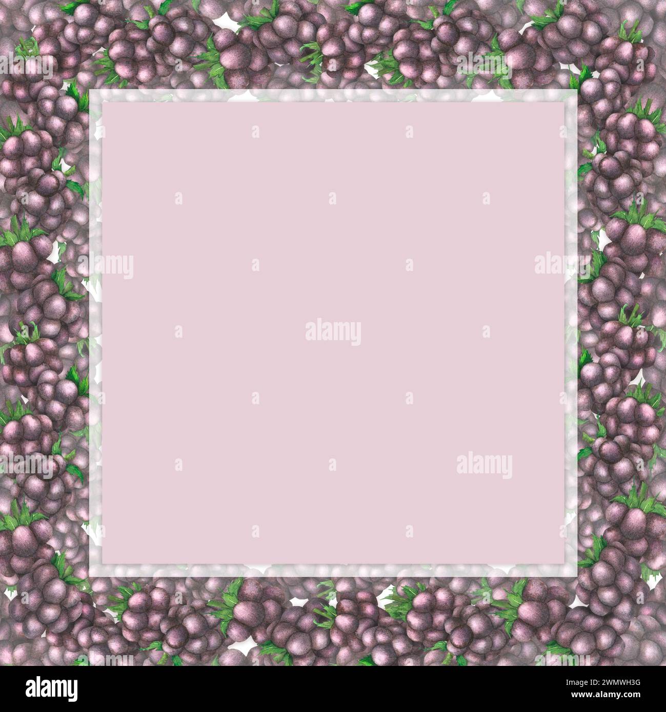 Watercolor vintage frame with a garden berry. Ripe blackberries ...