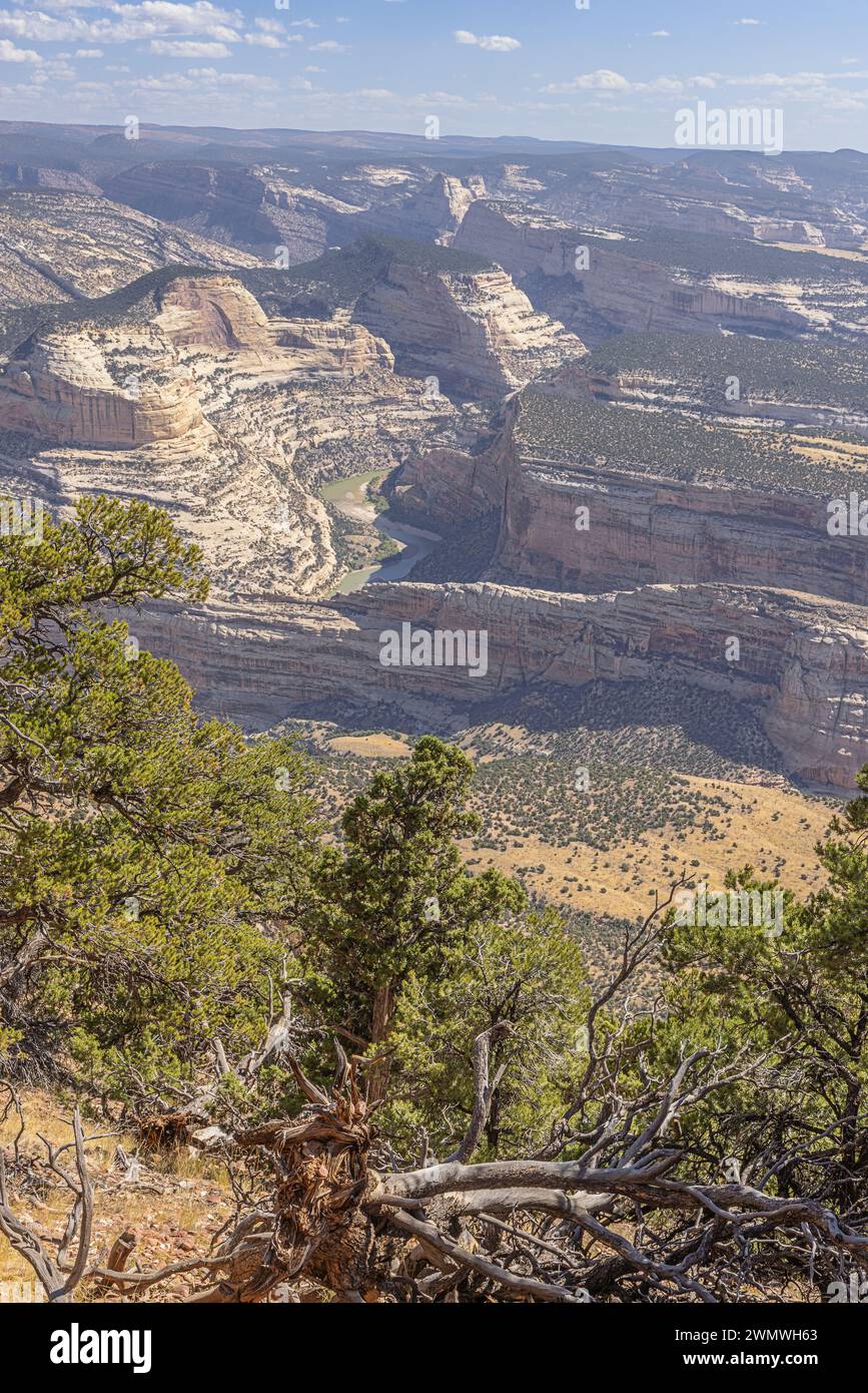 The deep valley of the Green River seen from Harper's Trail in the ...
