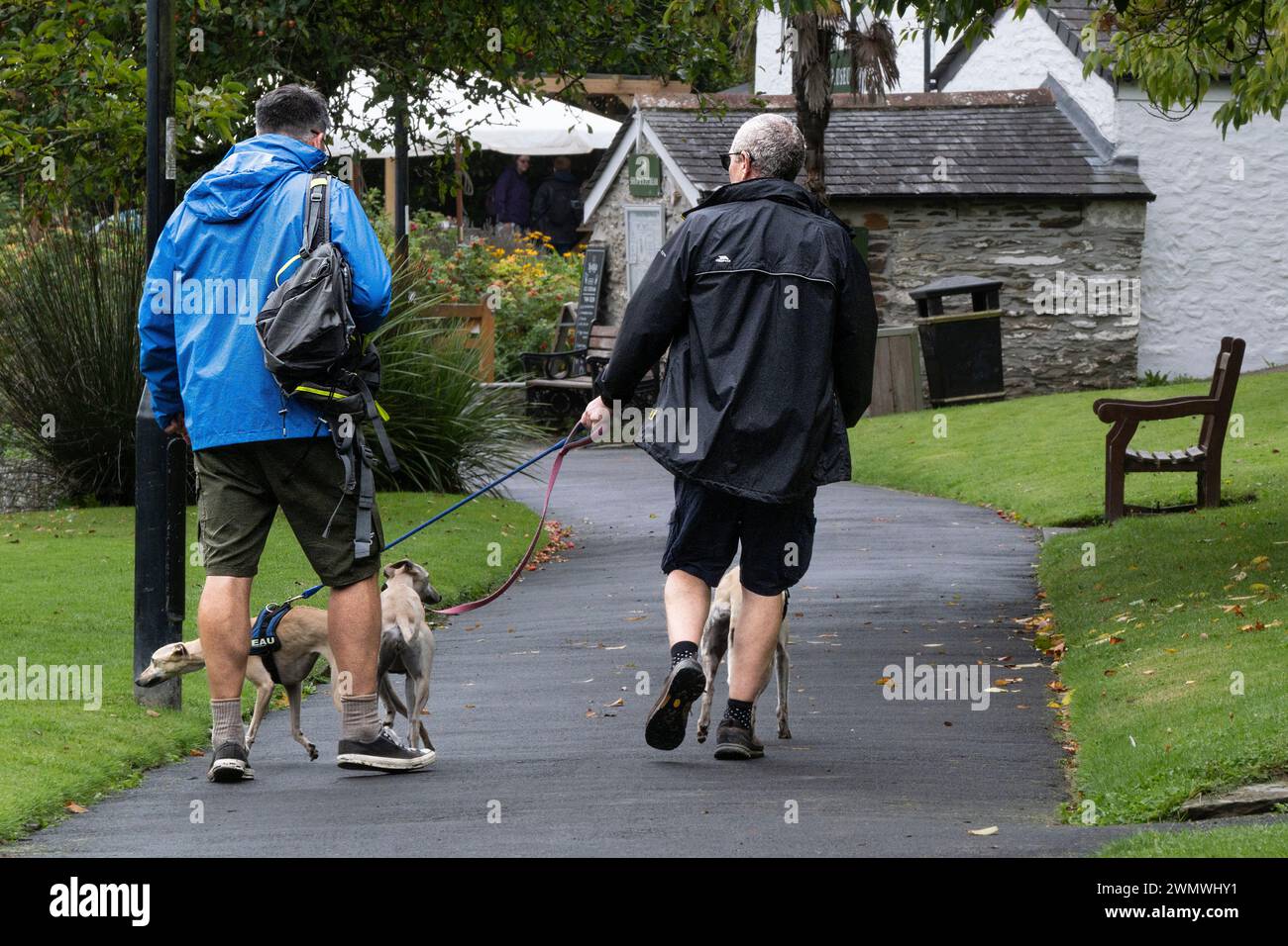 Two people walking dogs in Trenance Gardens in Newquay in Cornwall in ...