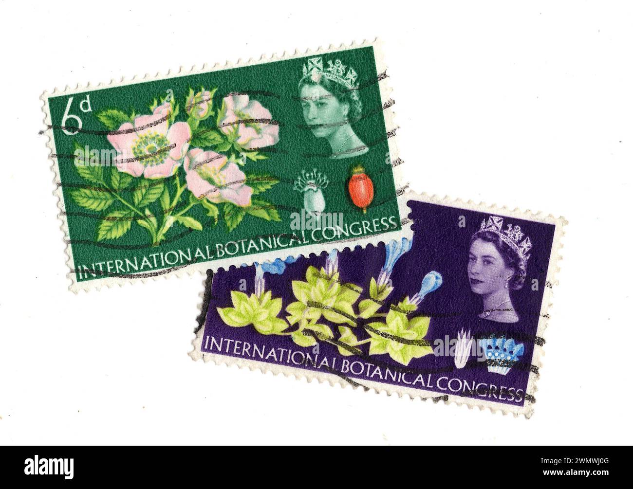 Vintage International Botanical Congress postage stamps from the United ...
