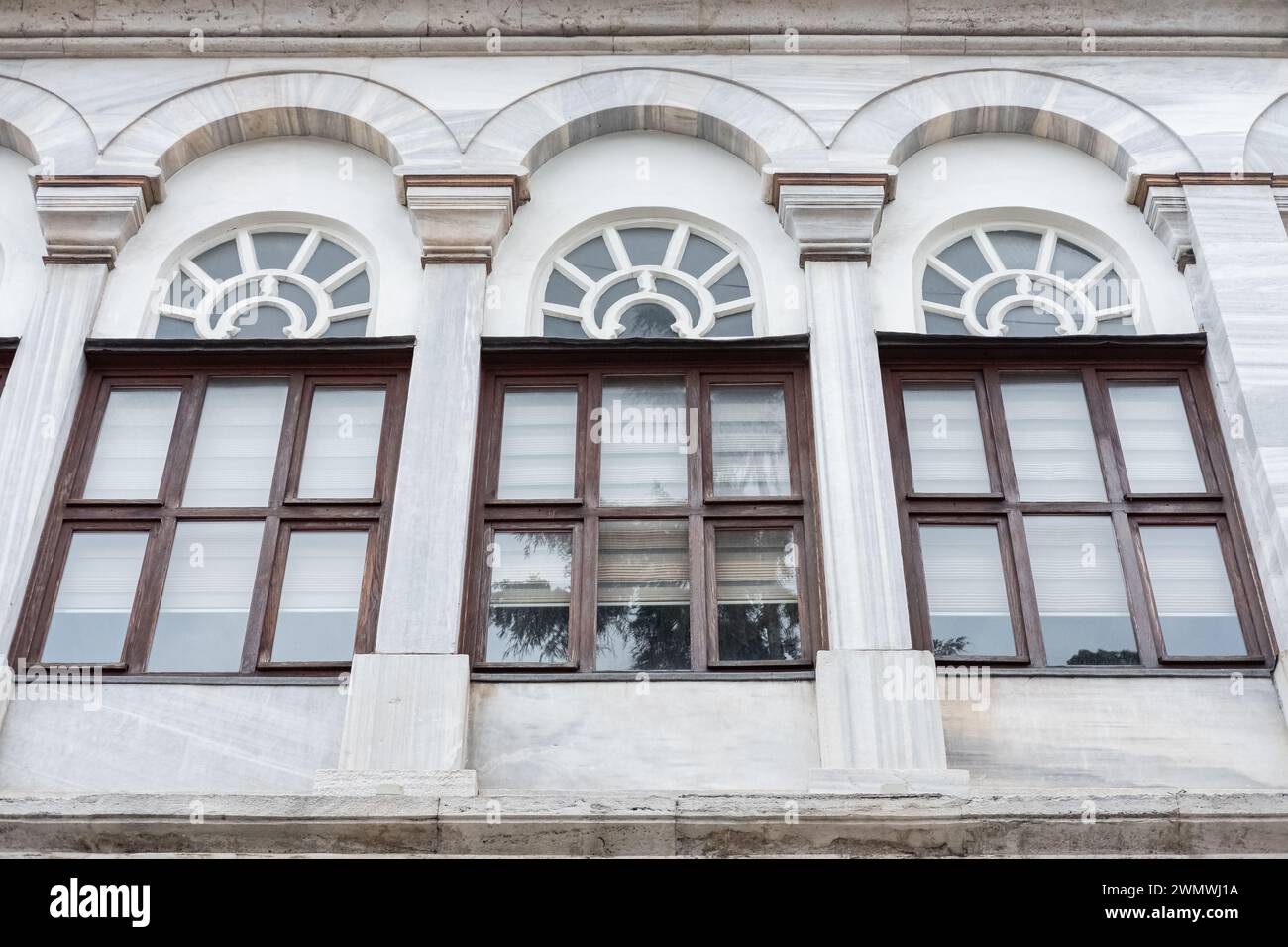 Tree windows on Vintage architecture classical facade of a historical ...