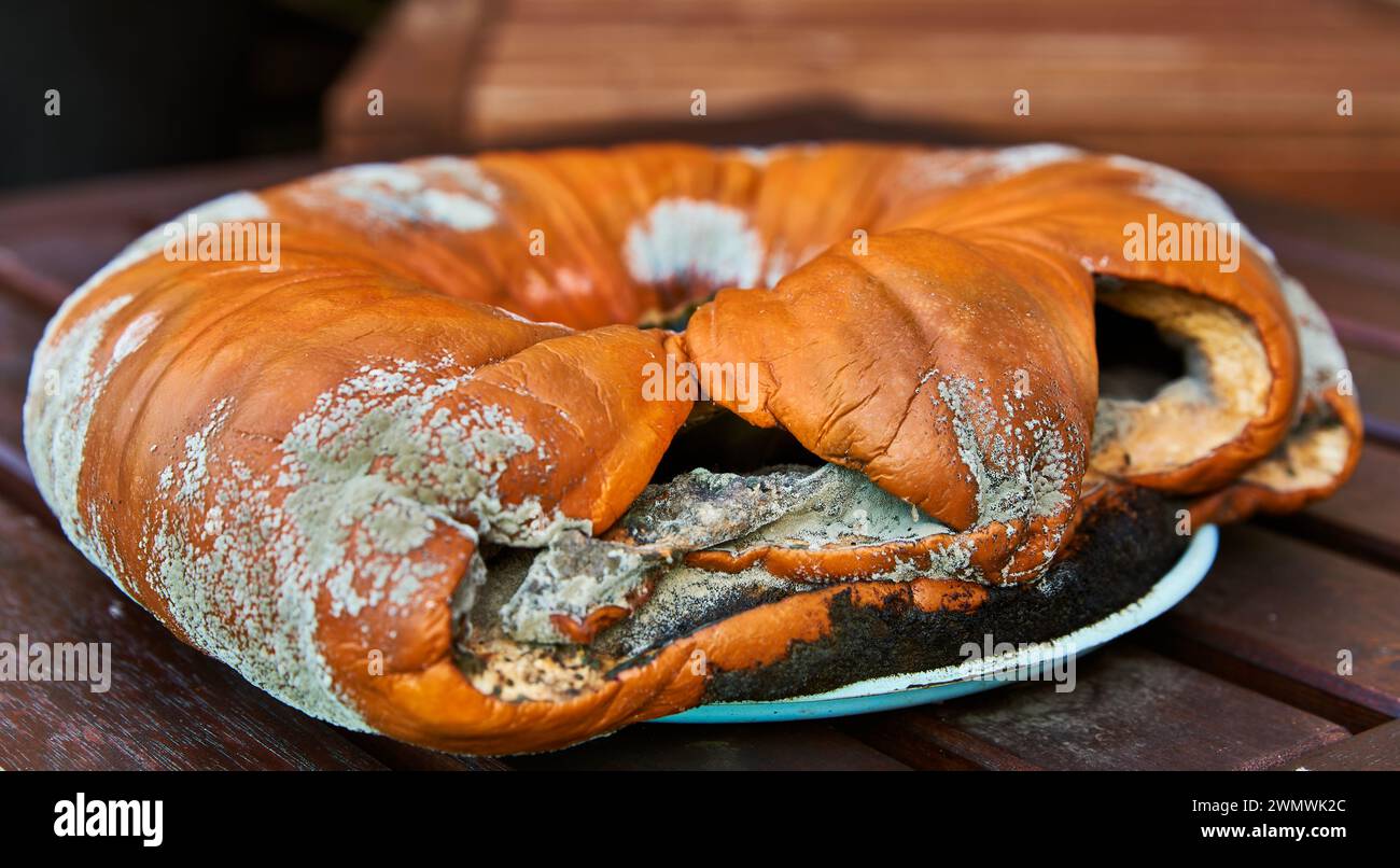 All Saints Day representation with a sad expression on a rotten pumpkin ...