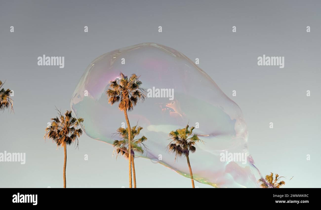 beautiful soap bubble blower fly among palm trees in summer sky, soap ...