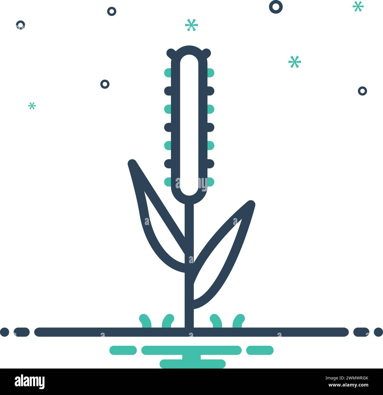 Icon for timothy,grass Stock Vector Image & Art - Alamy