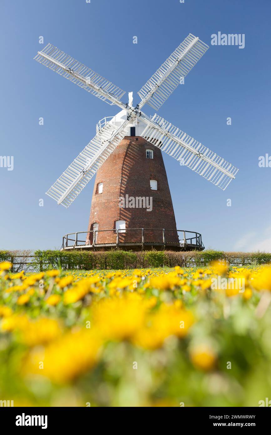 Eight blade fantail hi-res stock photography and images - Alamy